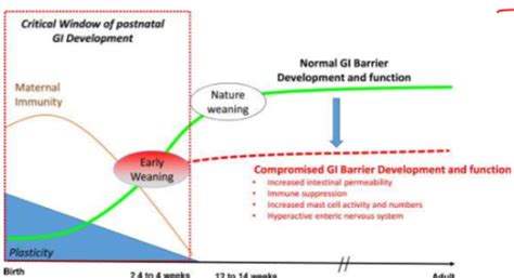 Lecture 6 Dysfunction Flashcards Quizlet