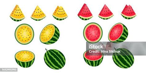 신선하고 육즙이 많은 전체 수박과 조각 잘 익은 노란색과 빨간색 수박 열매 세트 0명에 대한 스톡 벡터 아트 및 기타 이미지 0명 건강한 생활방식 건강한 식생활