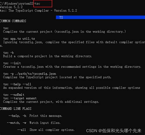 Ts的安装及使用时遇到的问题安装ts Node Csdn博客