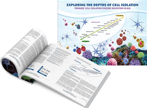 Tissue Dissociation Guide