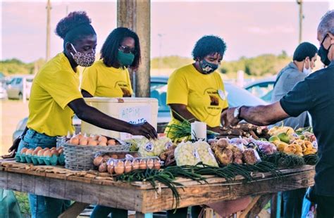 Do Solo Fértil Para As Mesas Cabo Frio Cria O Selo E A Feira Do Produtor Rural Para Fortalecer