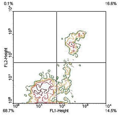 Anti Itgam Antibody 500ug