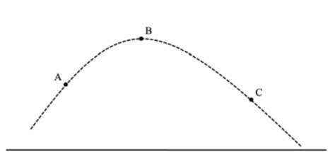 Solved Particularly What Is Happing With The Motion In X And Chegg