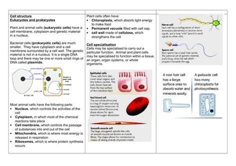 Aqa 9 1 Gcse Biology Paper One Knowledge Organiser Cell Biology Teaching Resources