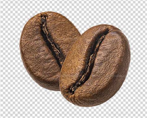 عکس دانه قهوه Png گرافیک با طعم تربچه