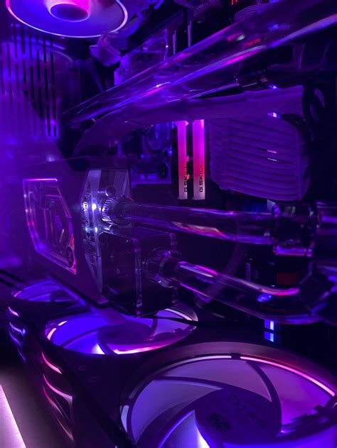 Kusanagi V4 Buildsgg