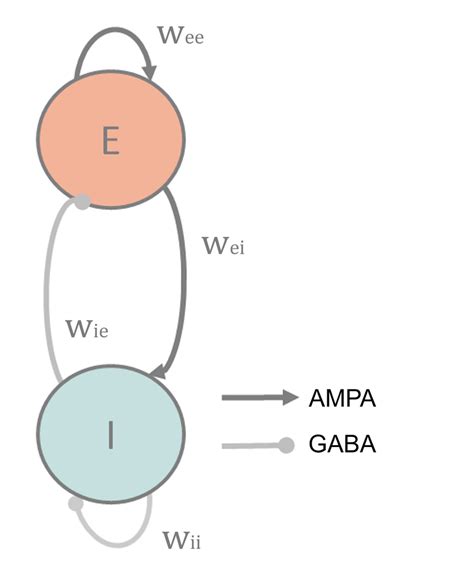 Canonical Microcircuit Of The Mean Field Model Each Mass Intended To Download Scientific
