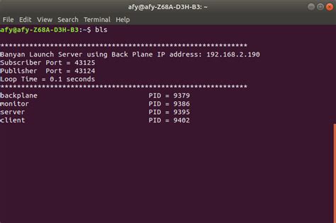 Python Launcher