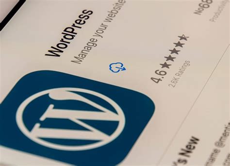 Wordpress Or React For Web Apps Which One Should You Choose White Canvas