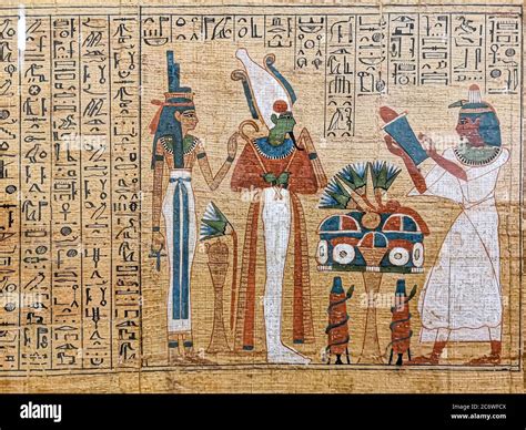 Papyrus Egypt Definition At Harriet Ridgeway Blog