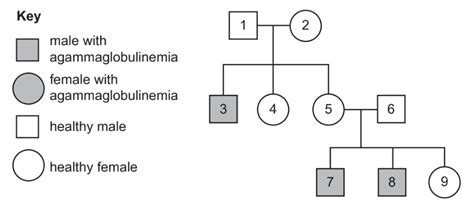 Patterns Of Inheritance Ocr A Level Biology Exam Questions And Answers 2017