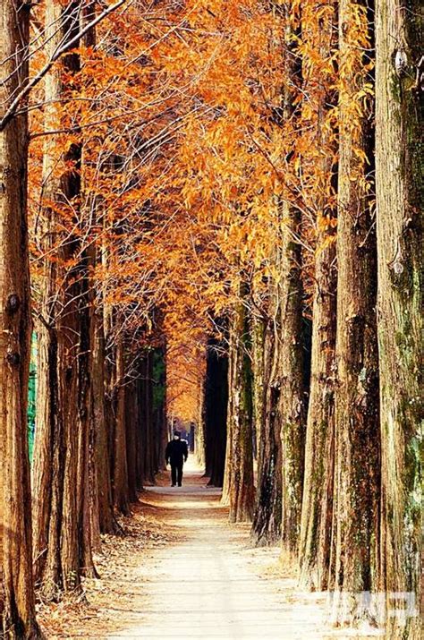 포토친구 공원의 초겨울 풍경