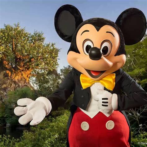 Mickey Mouse Disneyland