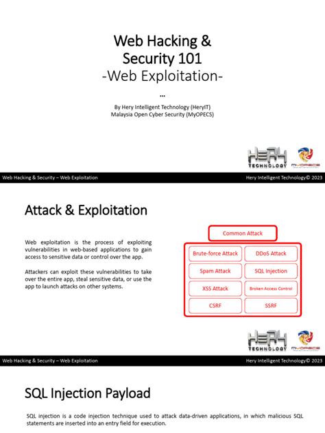 Web Hacking And Security Exploitation Pdf World Wide Web