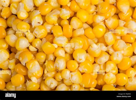 Is Boiled Maize Healthy At Scott Lanier Blog