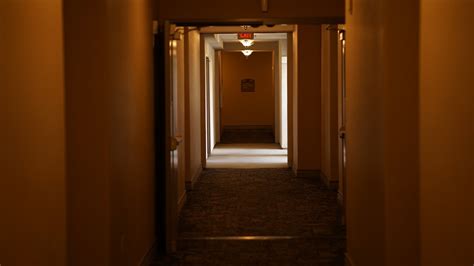 갈색 나무 문이 있는 복도 사진 Unsplash의 무료 갈색 이미지