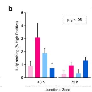 In Situ Immunohistochemical Analysis Revealed Sex And Placental Download Scientific Diagram