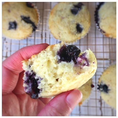 Lemon Blueberry Muffins Zest Nutrition