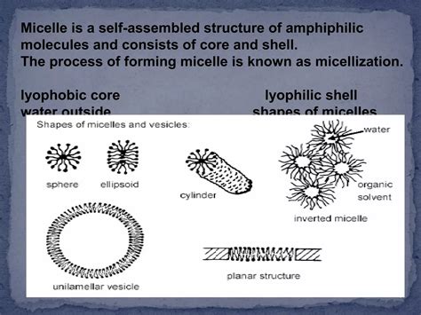 Micellization Ppt