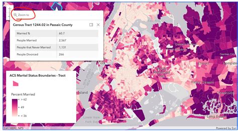 Arcgis Maps Sdk Javascript Controlling Position Of Popups Actions