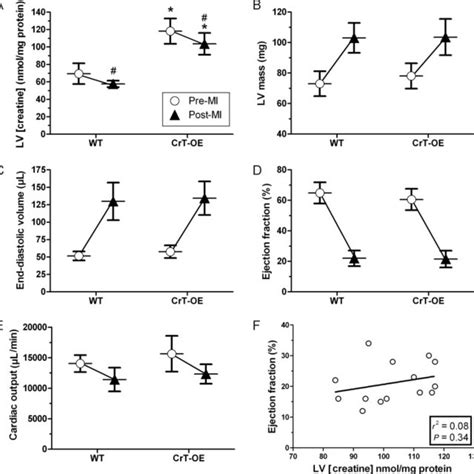 Creatine Levels And Creatine Kinase Activity In Cells Cultured With And Download Table