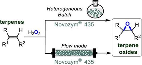 Synthesis Of Biorenewable Terpene Monomers Using Enzymatic Epoxidation Under Heterogeneous Batch