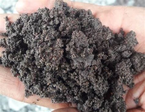 Copper Sludge Copper Sludge Waste Latest Price Manufacturers And Suppliers