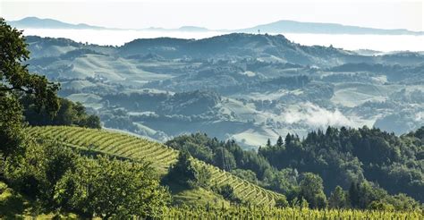 Wine From Styria • Wein Steiermark