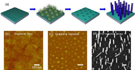 Schematic Diagram Of The Process Used To Grow Zno Nanostructure Arrays Download Scientific