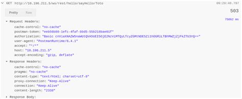 Postman Windows App Request To Localhost In A Proxied Environment