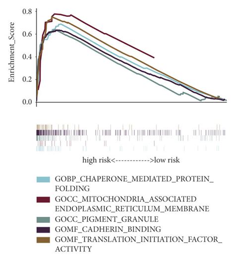 Gene Set Enrichment Analysis Of The Necroptosis Related Prognostic Download Scientific Diagram