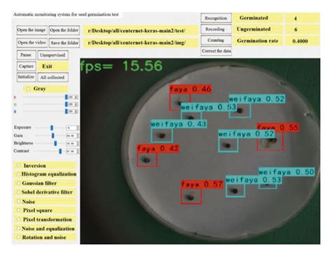 System Software Interface A Real Time Online Monitoring Mode And B Download Scientific