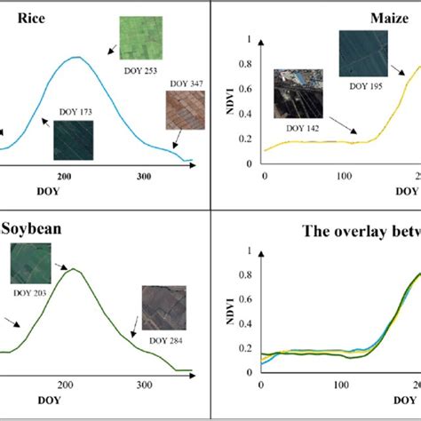 Comparison Between The Crop Type Classification With The Download Scientific Diagram