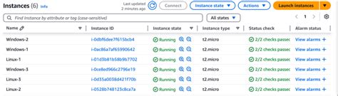 patches using the patch manager w aws systems manager davethemaker