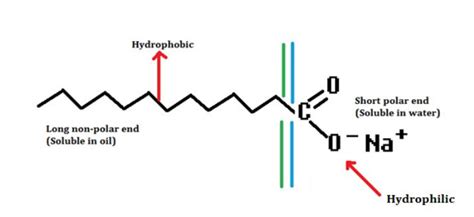 Soap Molecule Structure
