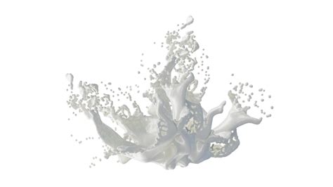 Milk Splash With Droplets 9375028 Png