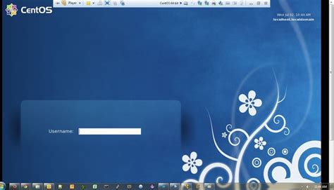 10 Running Centos On A Vm Download Scientific Diagram