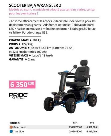 Promo Scooter Baja Wrangler 2 Pride Chez Distri Club Médical