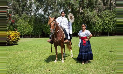 2018 Peru Visitor Guide Hacienda De Los Ficus Peru