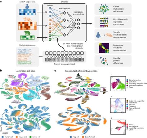 Tamim Ahsan On Linkedin Toward Universal Cell Embeddings Integrating Single Cell Rna Seq Datasets…