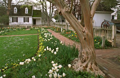 Gardens Of Colonial Virginia Colonial Garden Garden Design Colonial