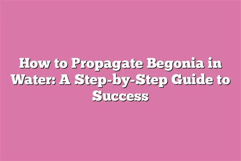 How To Propagate Begonia In Water A Step By Step Guide To Success Flower Pursuits
