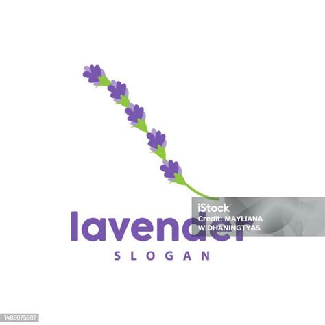 라벤더 로고 간단한 우아한 보라색 꽃 식물 벡터 인사말 카드 디자인 배너 꽃 장식 라벤더 손으로 그린 결혼식 아이콘 기호 그림 0명에 대한 스톡 벡터 아트 및 기타 이미지