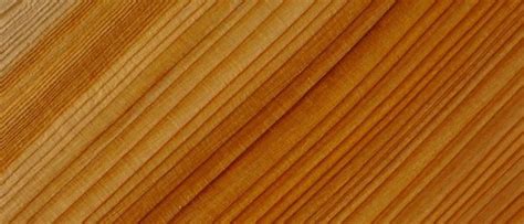 Introduction Of Hardwood And Softwood Species