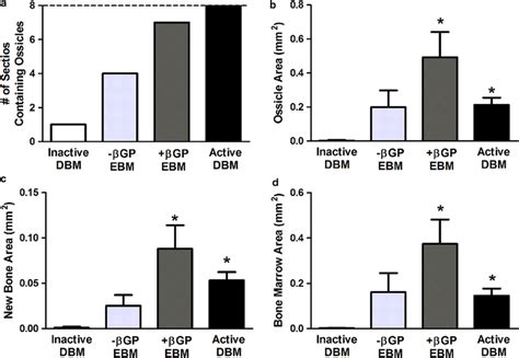Quantitative Histomorphometry A Representative Hande Stained Section Per