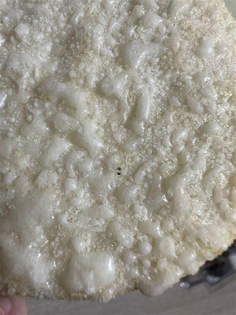 익들아 😭 이거 과자에 곰팡이 핀 거야 인스티즈 Instiz 일상 카테고리