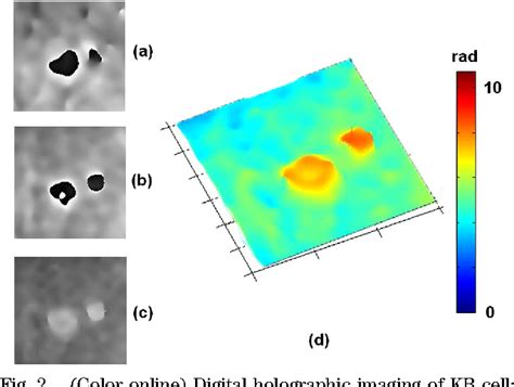 Figure 2 From Dual Wavelength Linear Regression Phase Unwrapping In