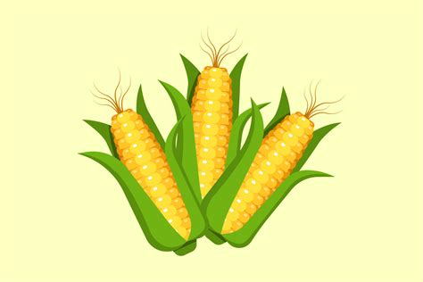 Corn Background Design
