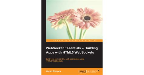 Websocket Essentials Building Apps With HTML5 Websockets Book