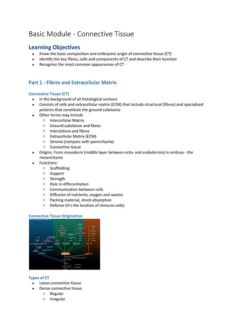 Module 5 Notes Connective Tissue Warning Tt Undefined Function